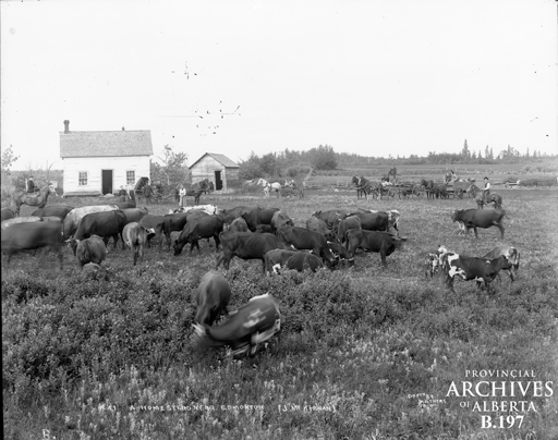 The Stories and Histories of Alberta Images Collection